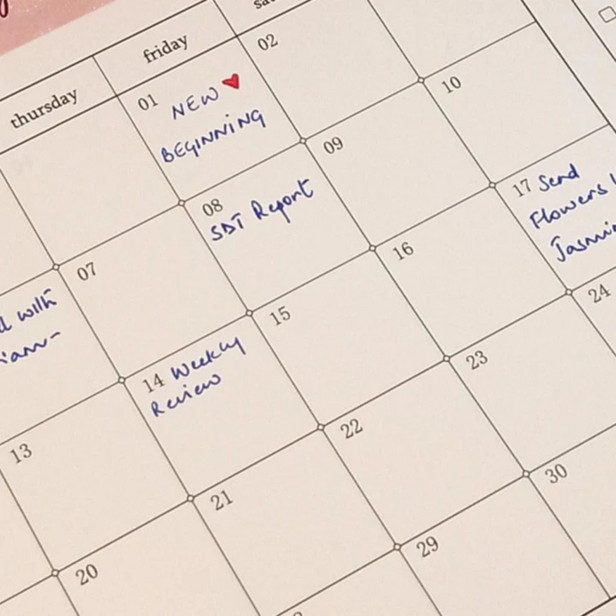 Clearance Sale – SCOOBOO