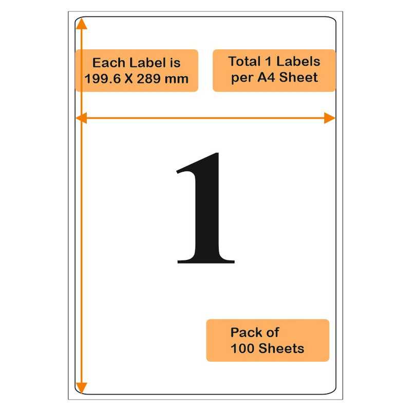 Oddy A4 self stick paper label -100 sheets Pack - SCOOBOO - Oddy